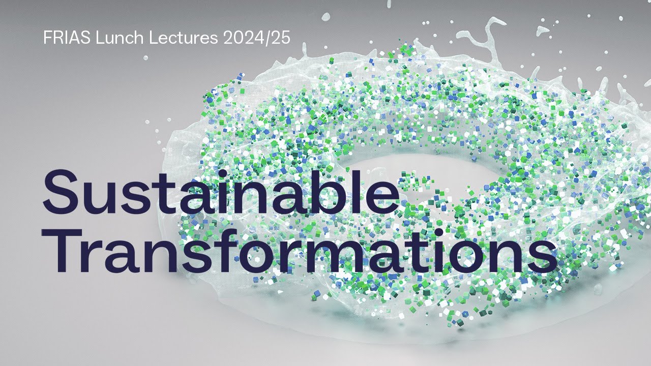 Water Use and Disaster Management - Karl M. Wantzen & Luisa Cortesi ...