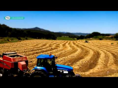 DSİ 1 BÖLGE MÜDÜRLÜĞÜ KOCAELİ