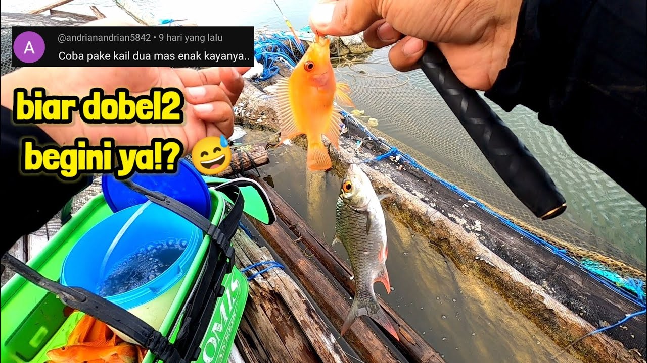 PAKAI KAIL 5 JUGA BISA PENUH KALAU DI SPOT INI || mancing ikan red ...