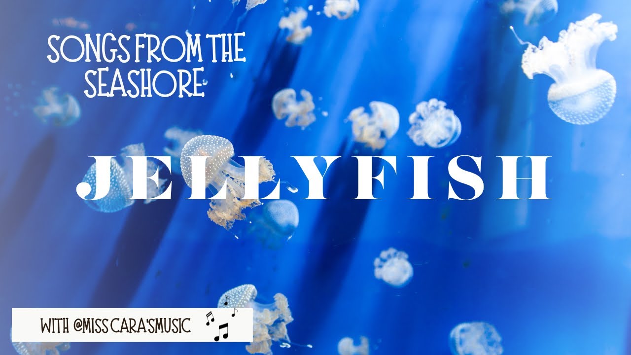 Jellyfish: A Silly Ocean Song for Children - YouTube
