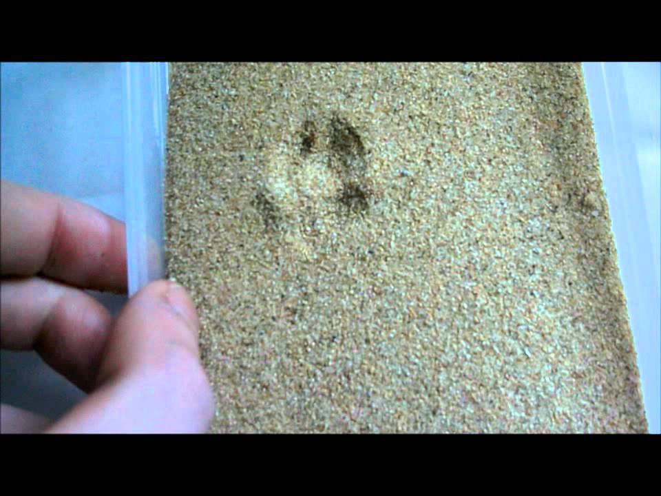 Review...Citadel Sand.wmv - YouTube