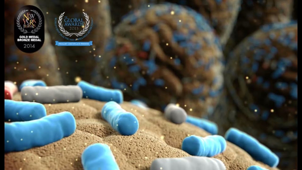 CLOSTAT - Probiotics - Kemin - Cortical Studios | MoA Animation - YouTube