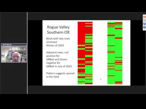 Red blotch situation in Oregon -  Bob Martin, USDA-ARS, Corvallis, OR