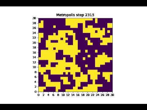 Ising model simulation using Metropolis Monte Carlo - YouTube