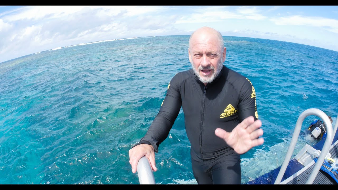 Tim Flannery: Reef Reality Check - YouTube
