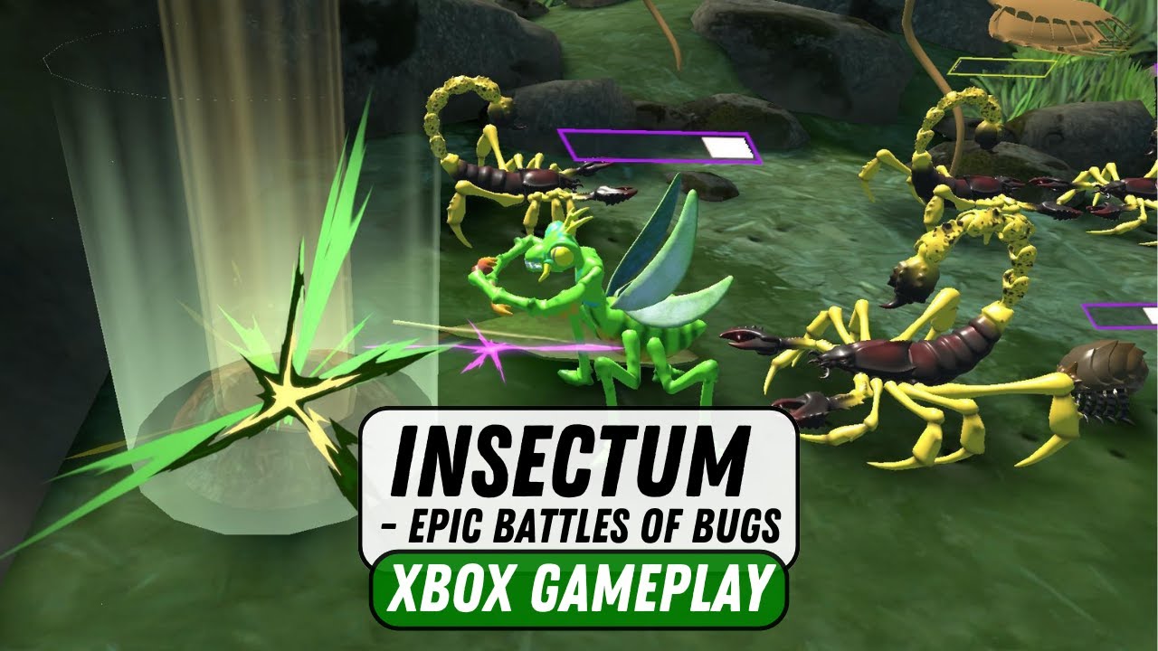 I'd rather go outside and find bugs to fight each other - Insectum - Epic Battles of Bugs - YouTube