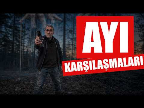 BÜYÜK AYI SPREYİ Nasıl Kullanılır!