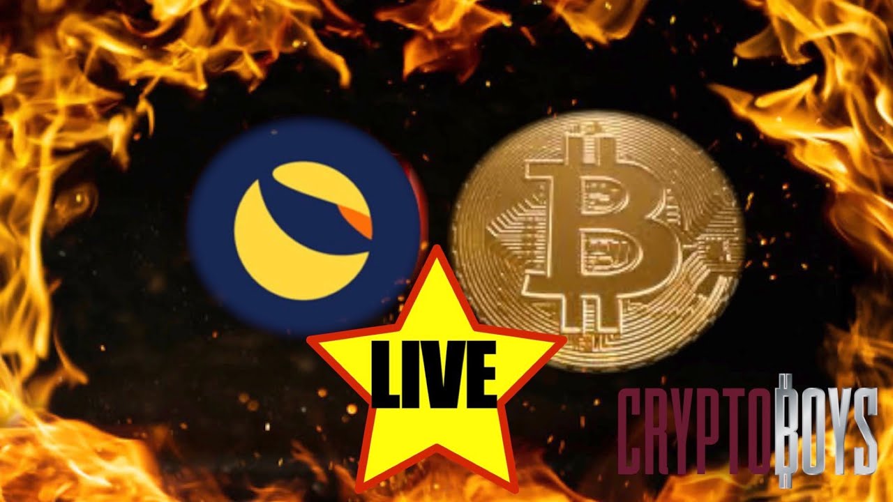Crypto News LIVE! Luna Destroyed // Bitcoin Lowest All Year - YouTube