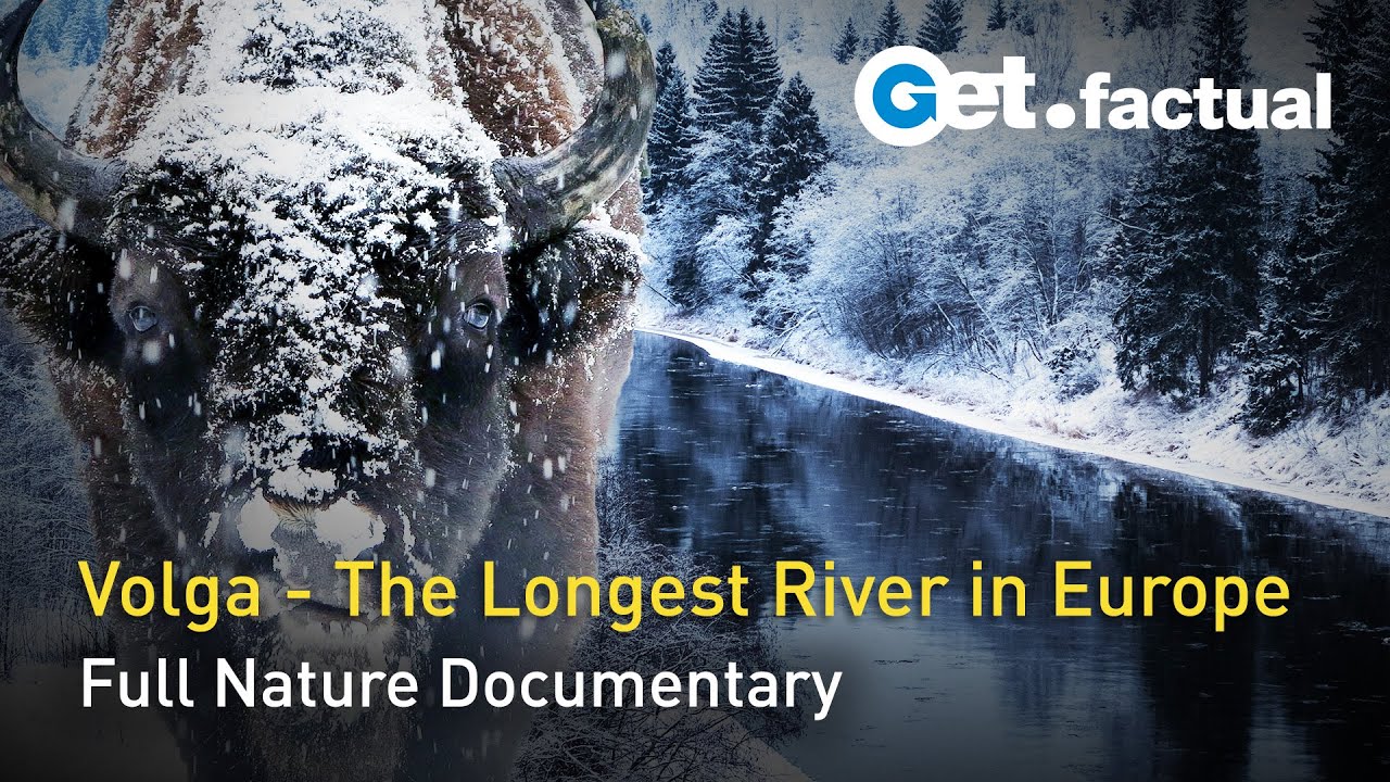 Realm of the Volga - A River is Born | Full Nature Documentary - YouTube