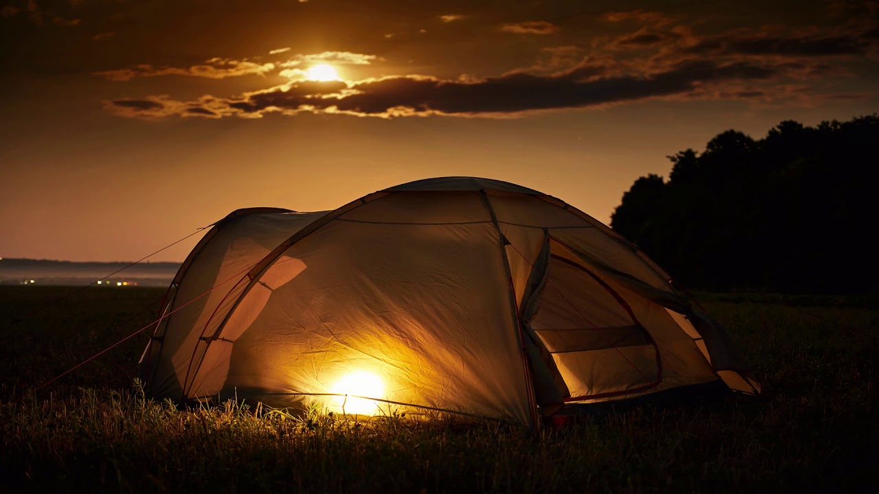 Cicadas Sound White Noise, HD 10 hours, Reduce Stress, Better Sleep ...