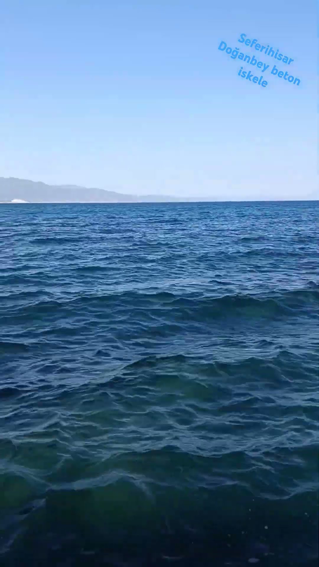 #deniz #doğa #fish #nature #fishing - YouTube