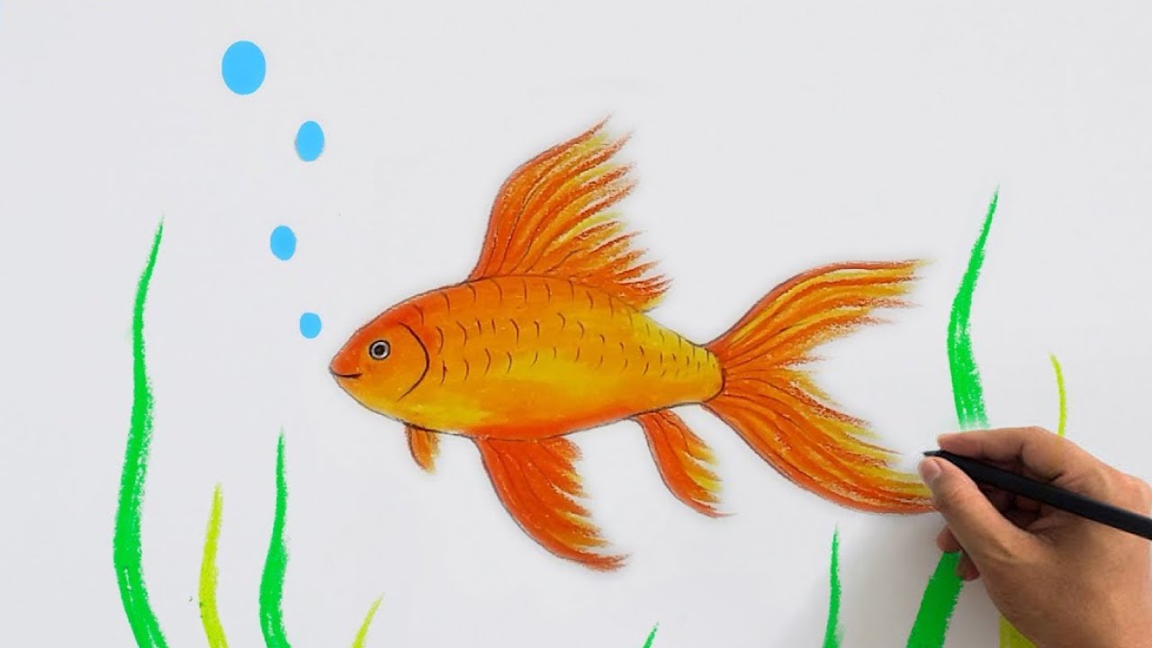 Unlock Your Inner Artist: Master the Skill of Goldfish Drawing - YouTube