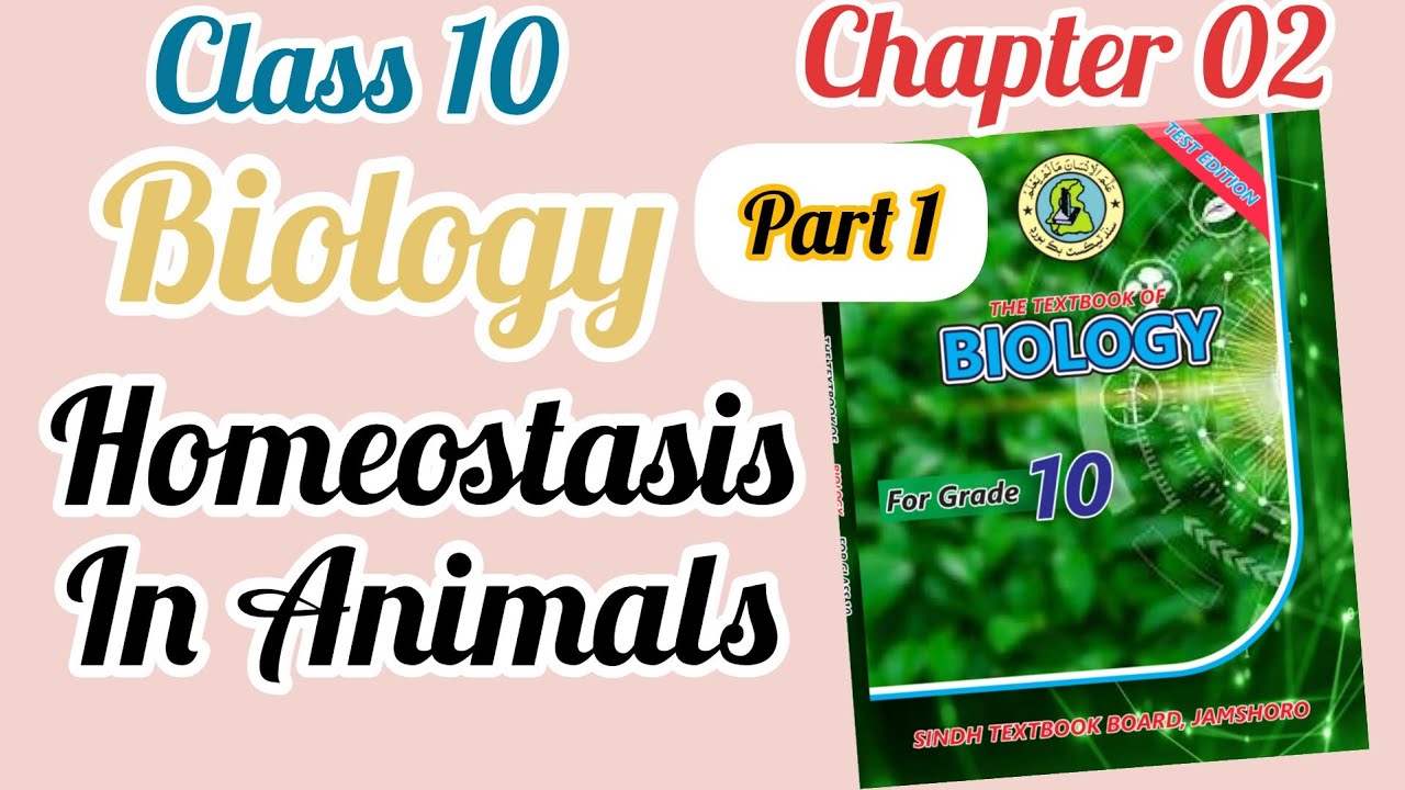 Hemostasis in Animals -Part 1 -Chapter #02 - Homeostasis -10th biology ...