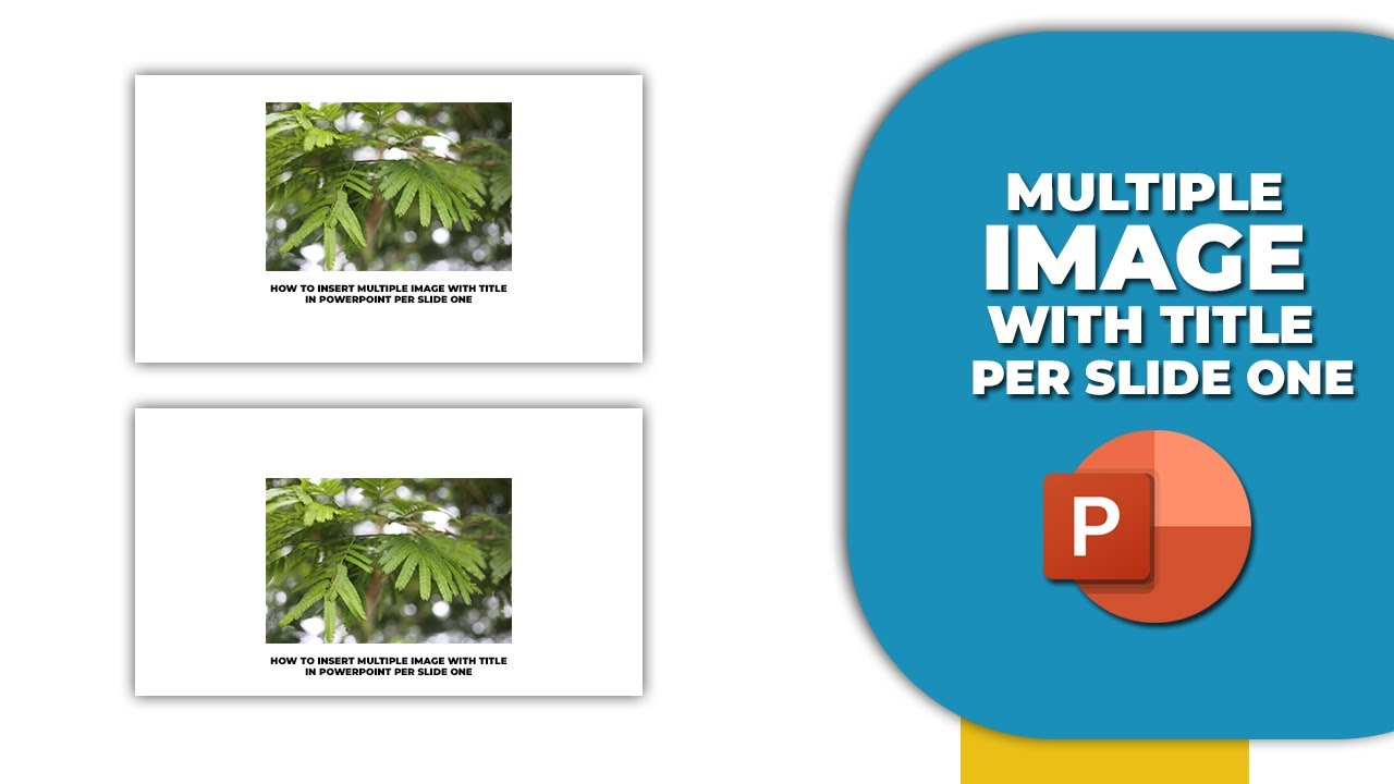 How to insert multiple image with title in PowerPoint Per slide One ...