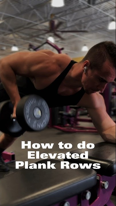 How to do Elevated Plank Rows! ↕️ #plank #plankexercise #rows #dumbbell ...