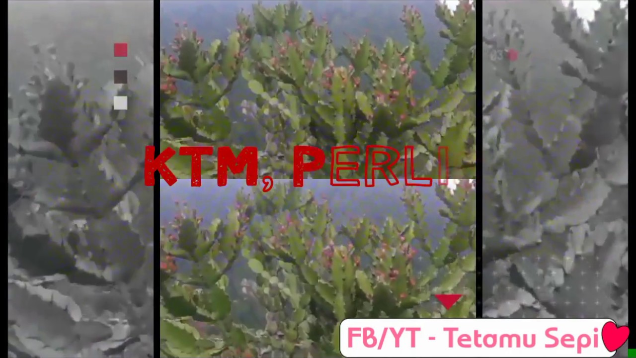 KTM trip with Tetamu Sepi ( cover by Pokemon ) 5 Nov 2017 - YouTube