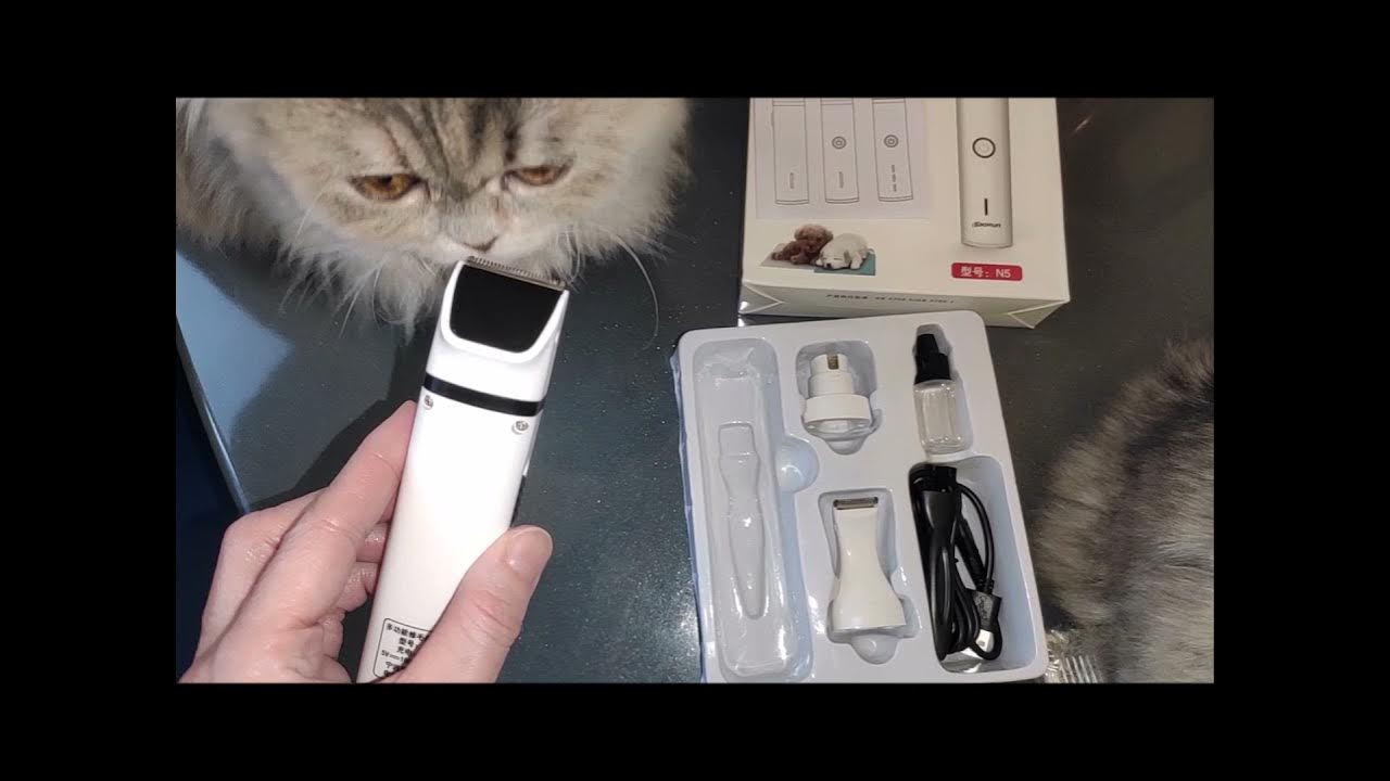 Обзор триммера Баорун (Baorun) для стрижки лапок у животных - YouTube