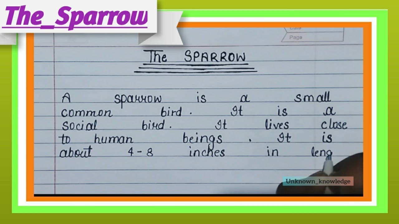 ||Write an essay on #thesparrow in english|| || Essay on The Sparrow ...