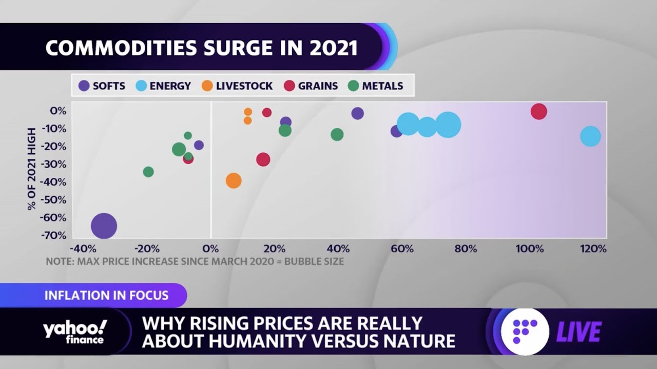What rising commodity prices could tell us about humanity - YouTube