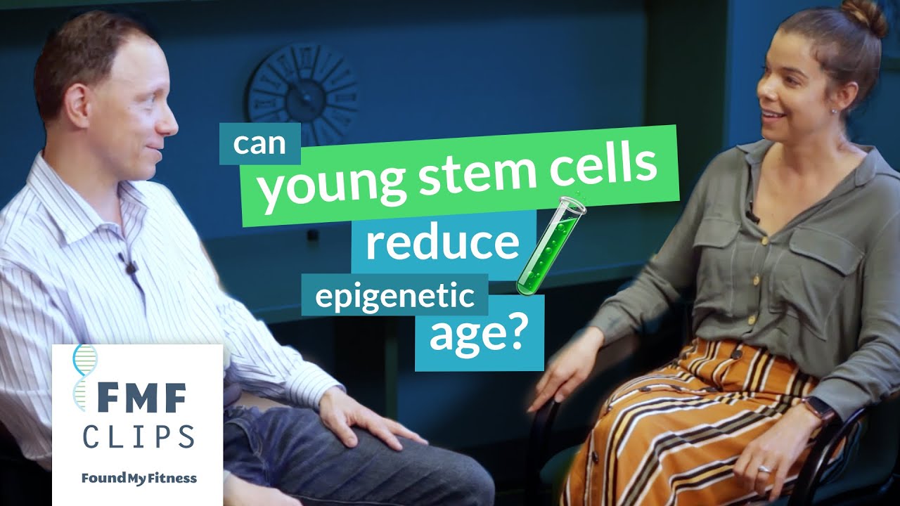 Can young stem cells reverse epigenetic age? | Steve Horvath - YouTube