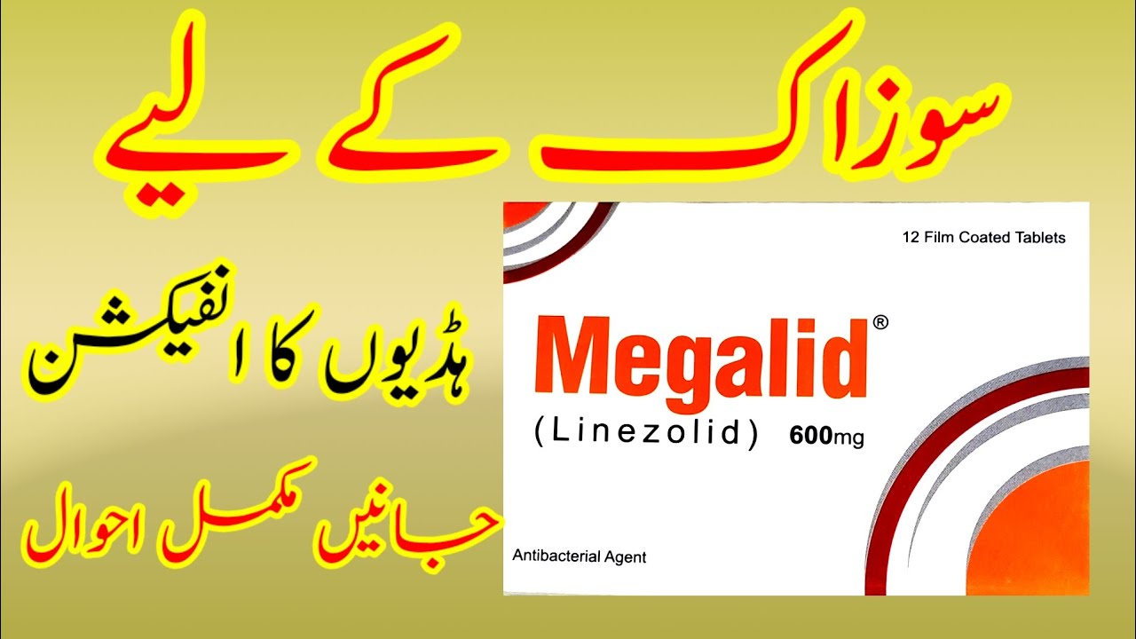 Megalid 600Mg Teblets Uses in Urdu benefits and sideeffects typhoid ...
