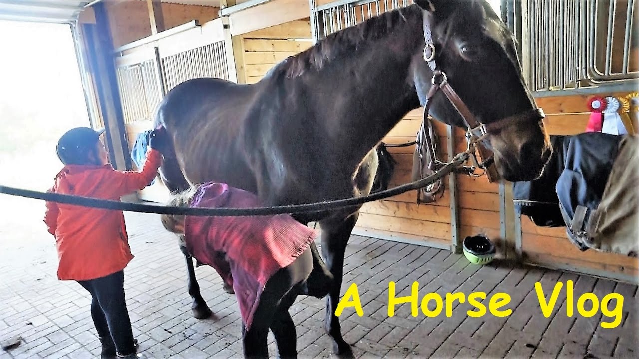 2 Sisters sharing one horse!! Day 686 (10/28/16) - YouTube