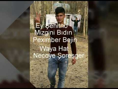 Nusaybin YPS Şehitleri Ş.ROJHAT RENGİN ANISINA✌✌✌✌
