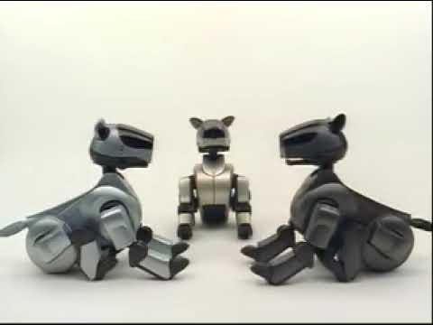 Official Sony Aibo ERS-210 promotional video - YouTube