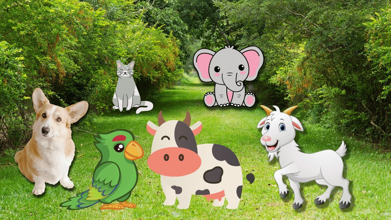 Animal Sounds for Children (20 Amazing Animals) - YouTube