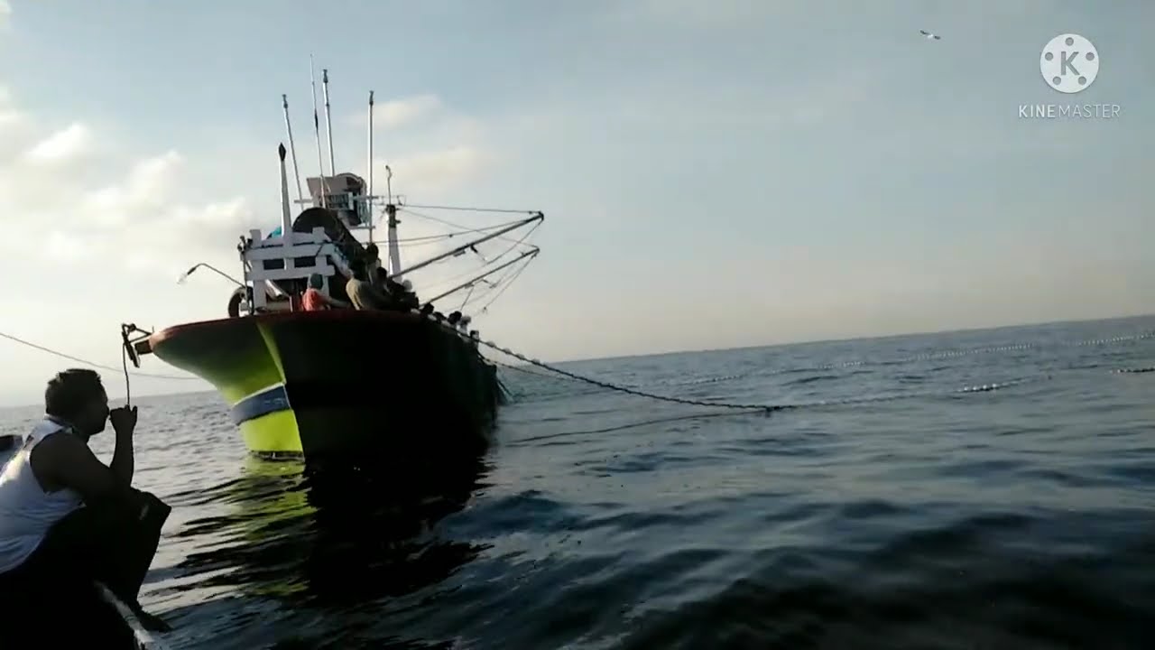 kekompakan nelayan dalam menarik jala ikan di perairan PLTU paiton ...