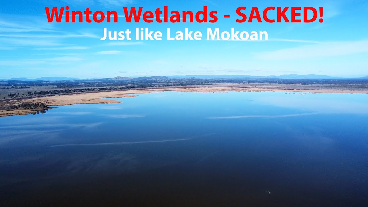 Winton Wetlands To Be DE-FUNDED, Just Like Lake Mokoan Was ...
