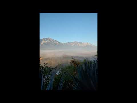Que es lo que siento - Guillermo Canedo - Arreglos musicales