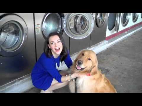 Sweet Lemon Magazine {Behind The Scenes with Carly Heitlinger} - YouTube