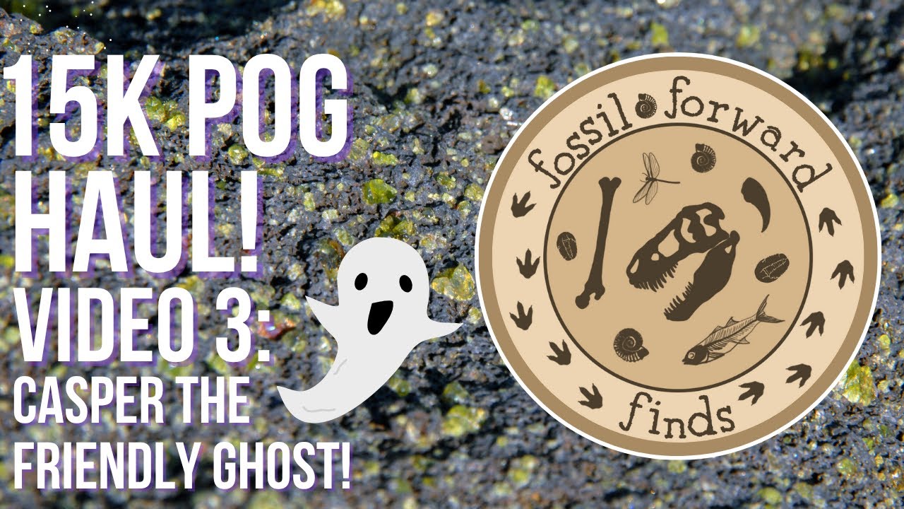 Casper the Friendly Ghost POGs Deep Dive - 15K POG Haul - YouTube