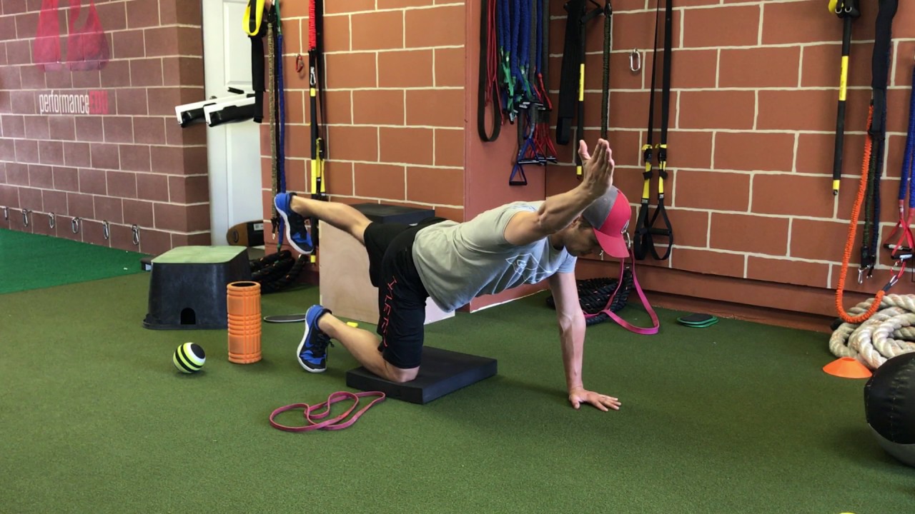 #24 Core Stability: Bird Dog with superband resistance option - YouTube