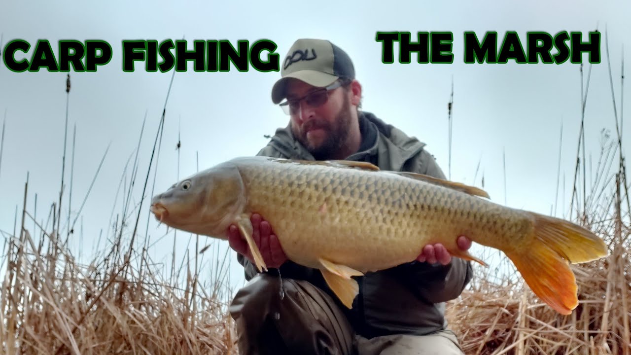 Carp Fishing 'The Marsh' - YouTube