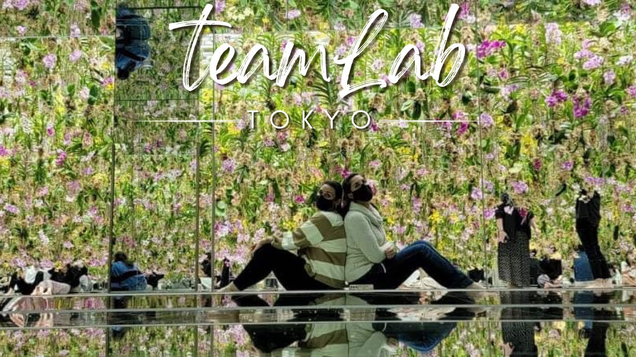 TeamLabs Tokyo - Planets v. Borderless - YouTube