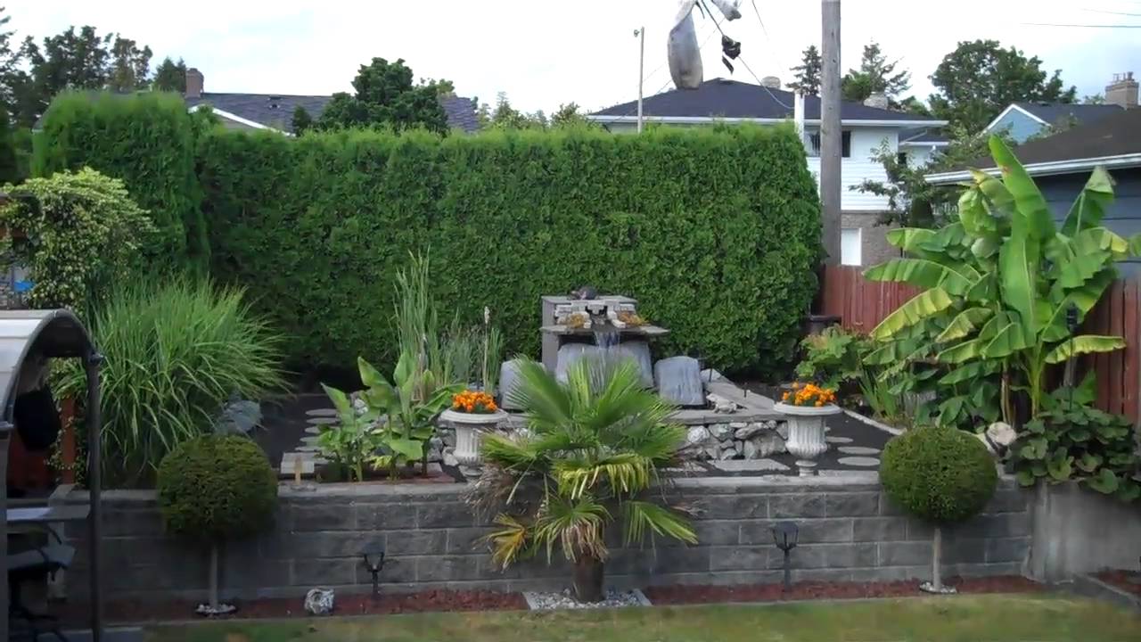 Backyard koi goldfish pond with waterfall - YouTube