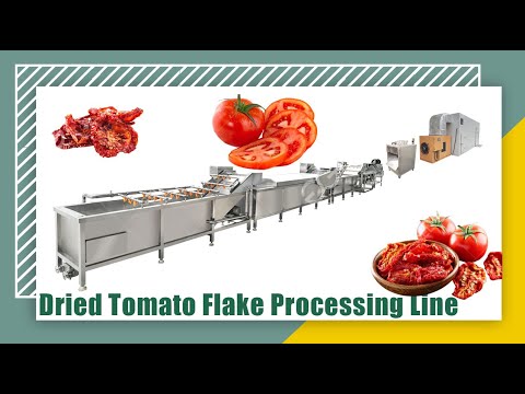 Dried Tomato Processing Line - YouTube