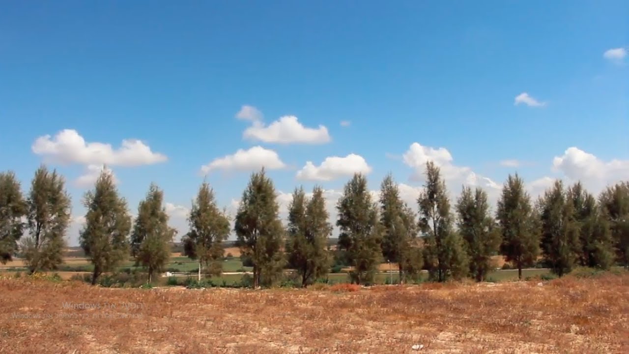 Trees Protecting Gaza Border Communities - YouTube
