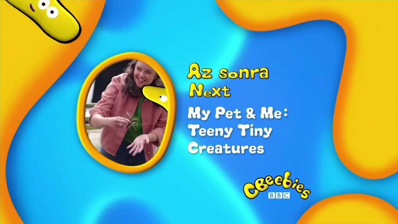 CBeebies (Turkey) - Continuity (January 24, 2022) - YouTube