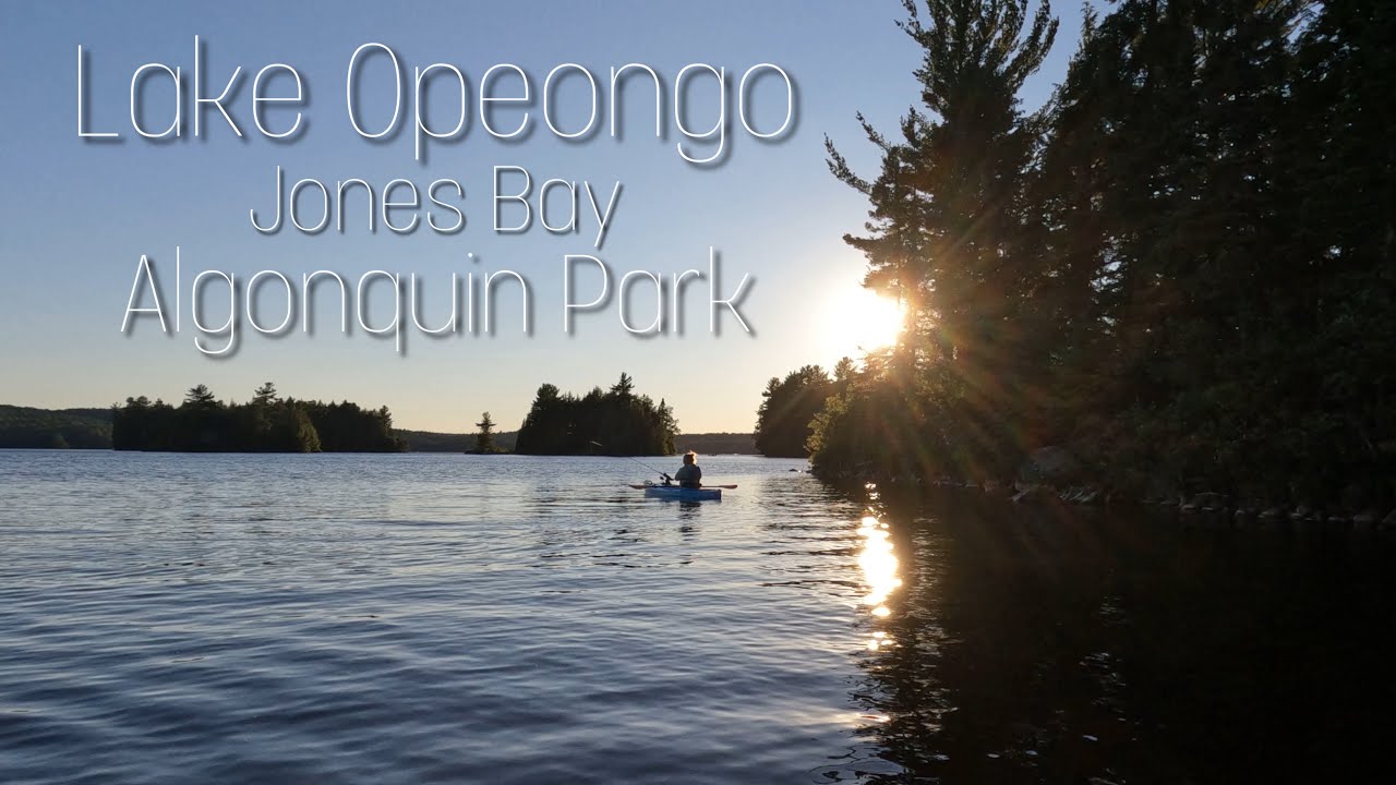 ALGONQUIN PARK - Lake Opeongo - South Arm - Jones Bay 🇨🇦 4K - YouTube