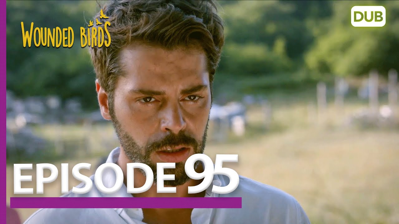 Wounded Birds Episode 95 - Urdu Dubbed | Turkish Drama - YouTube