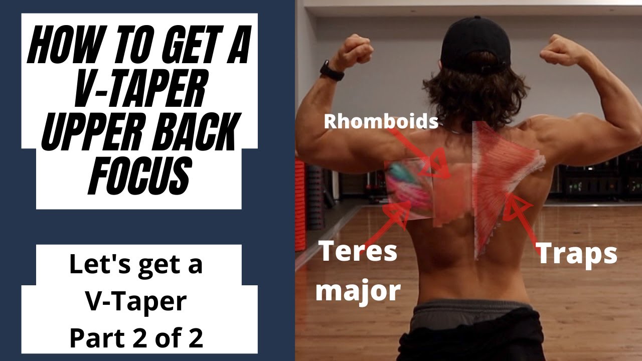 HOW TO GET A GOOD V TAPER - Upper Back Focus - YouTube