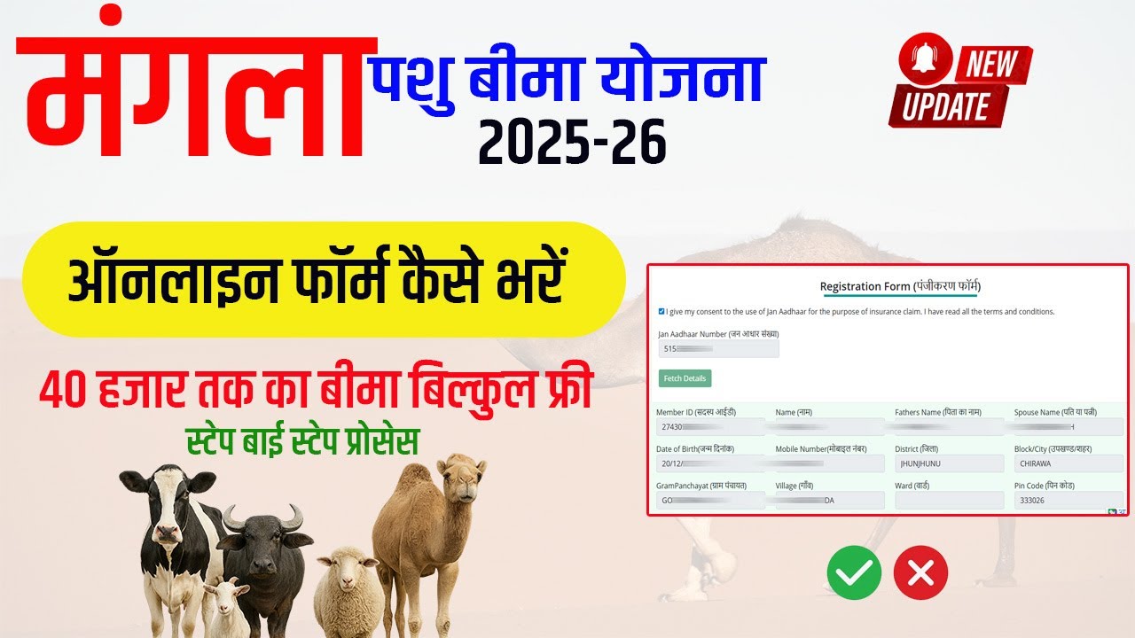 मंगला पशु बीमा योजना फॉर्म कैसे भरे 2025-26 | Mangla Pashu Bima Yojana ...