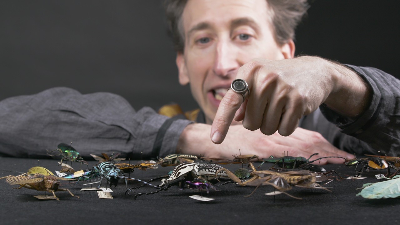 Wisconsin Life | UW-La Crosse entomologist's 'epiphany' reveals our ...