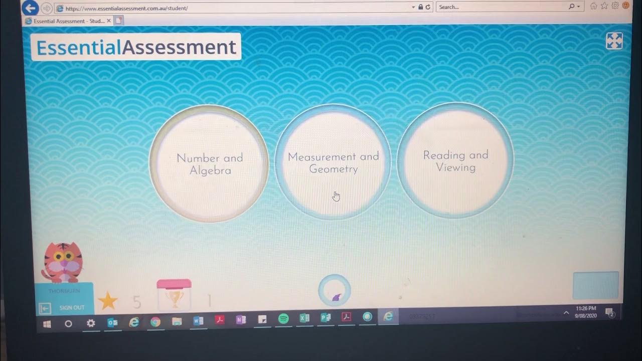 Essential assessment - YouTube