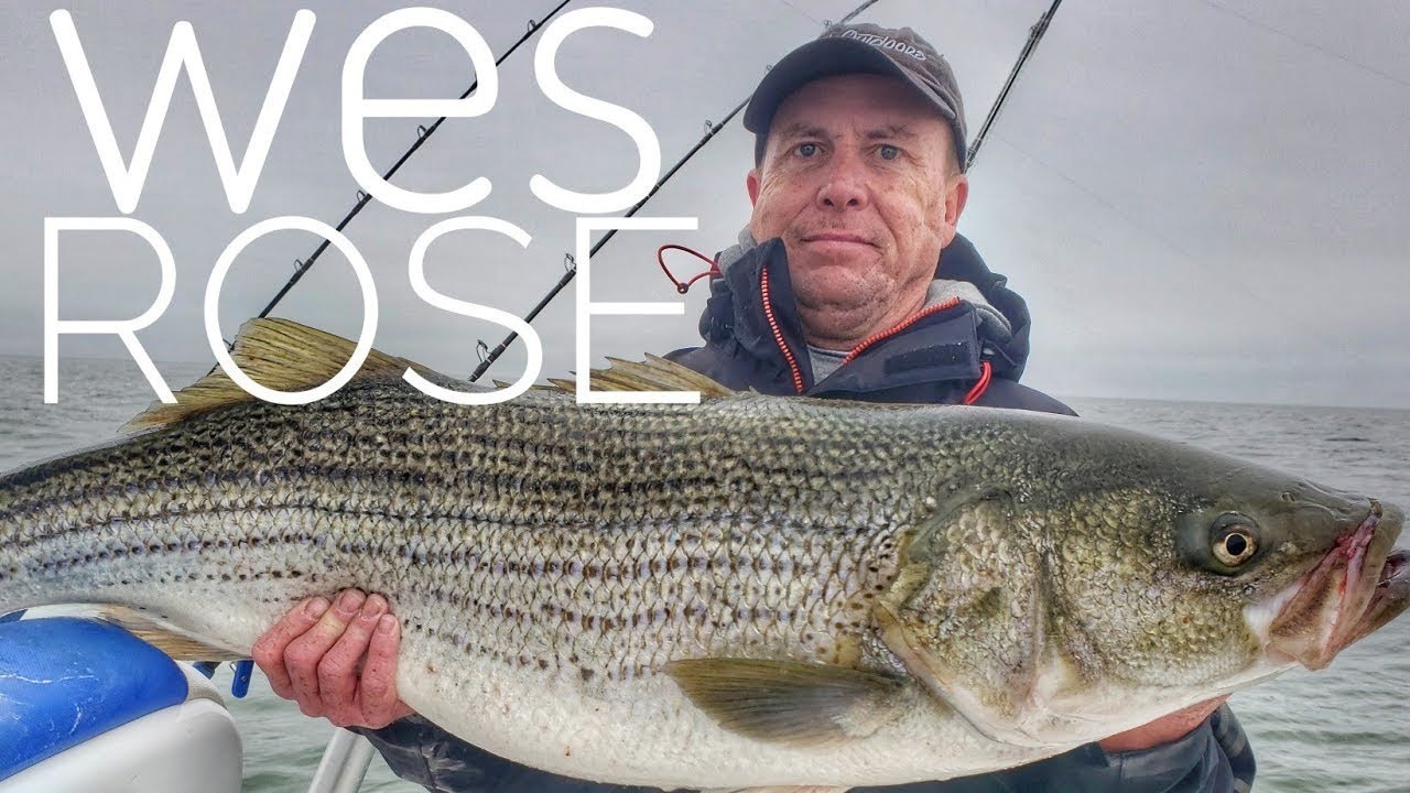Fish Talk Radio - YouTube