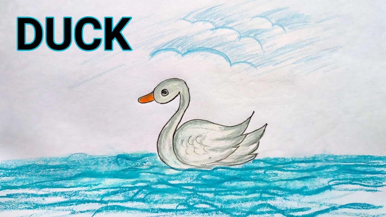 Duck drawing easily step by step | How to draw a floating duck - YouTube