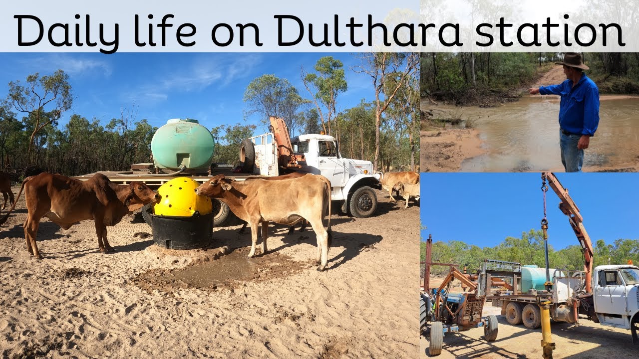 Life On A Cattle Station - YouTube